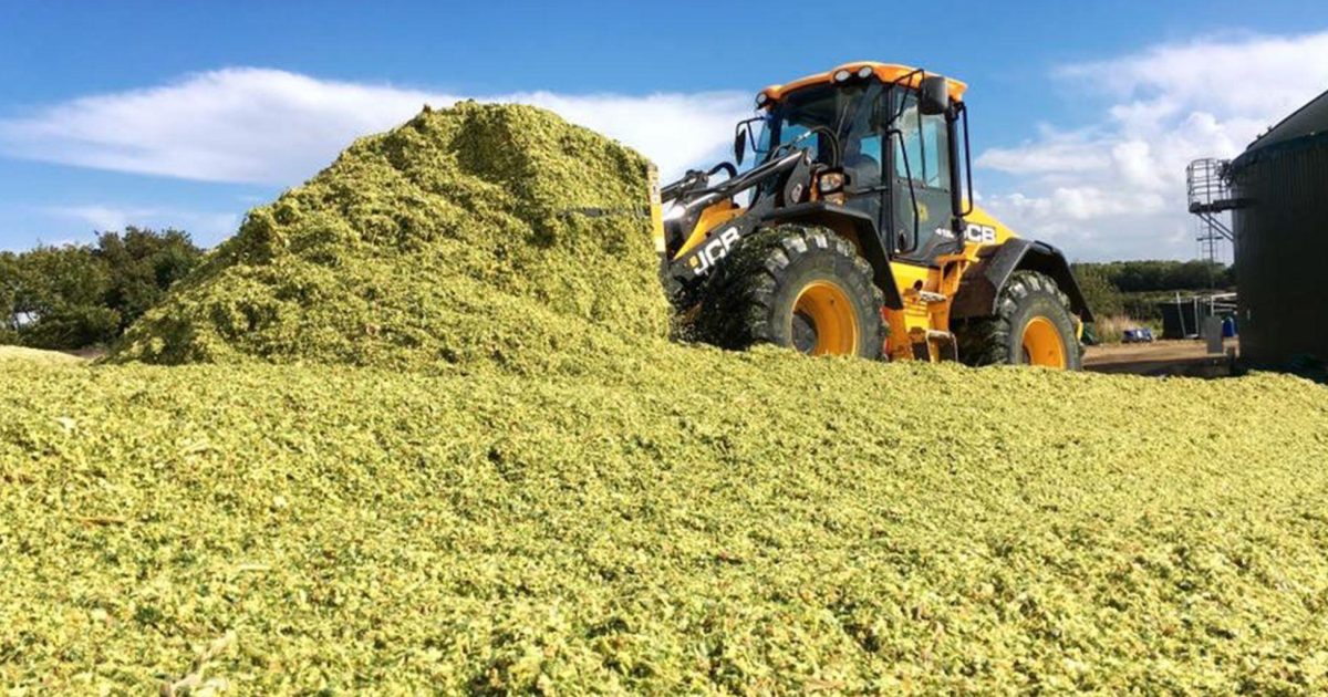 CirQlar Nutrition - Silage additive from FM BioEnergy boosts AD…