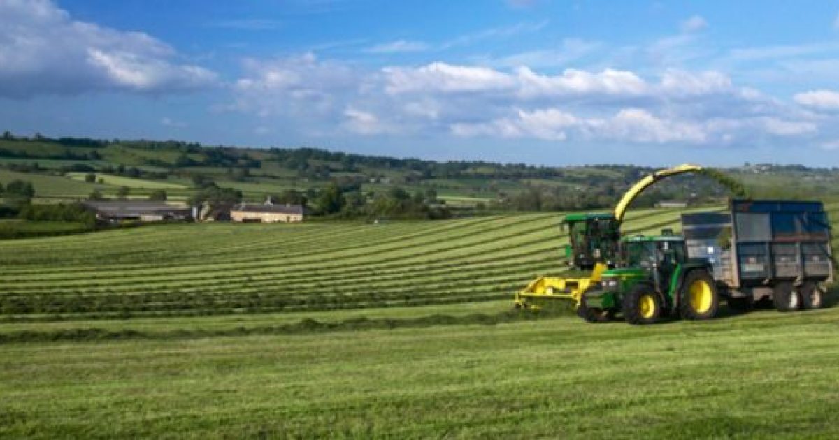 CirQlar Nutrition - How to make good silage