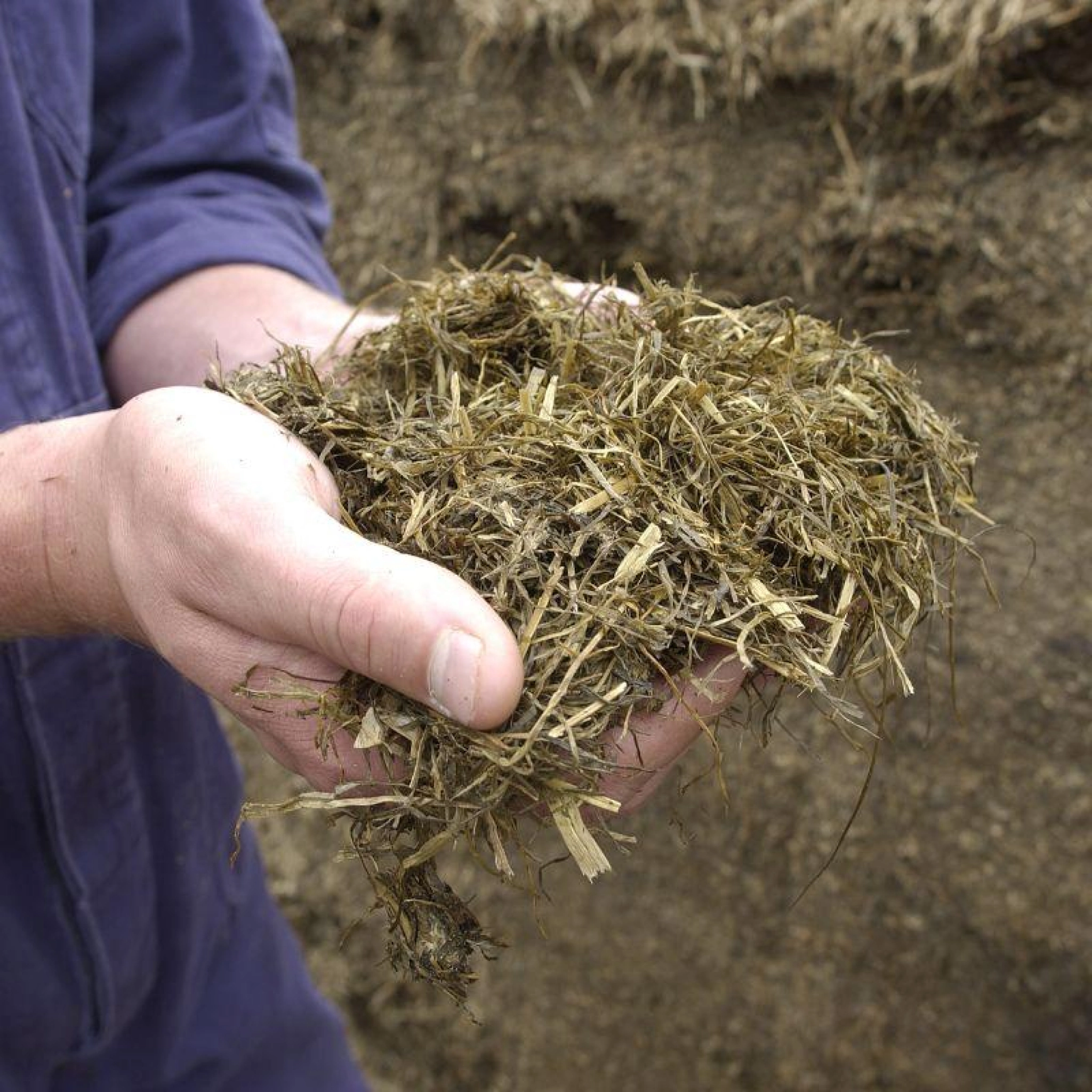 CirQlar Nutrition - How to make good silage