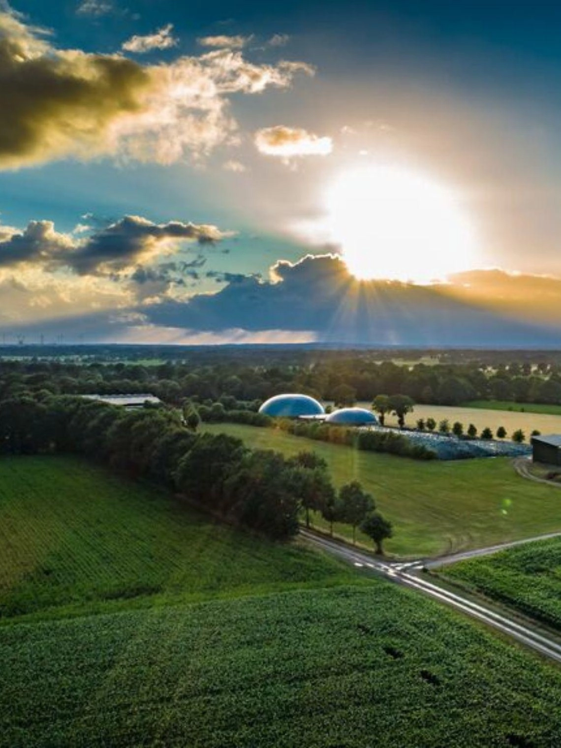 CirQlar Nutrition - How to make good silage