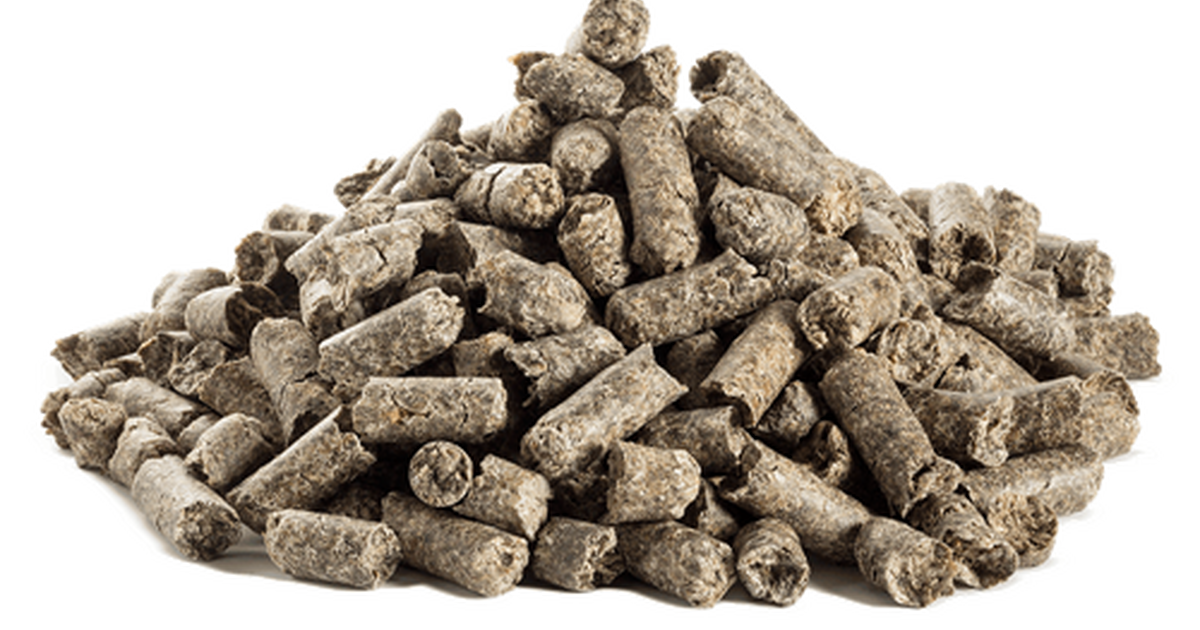 Sugar Beet Pulp (molassed)