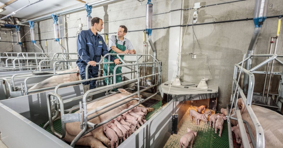 ForFarmers Deutschland - ForFarmers führt mit ‚NOVA’ ein neues…