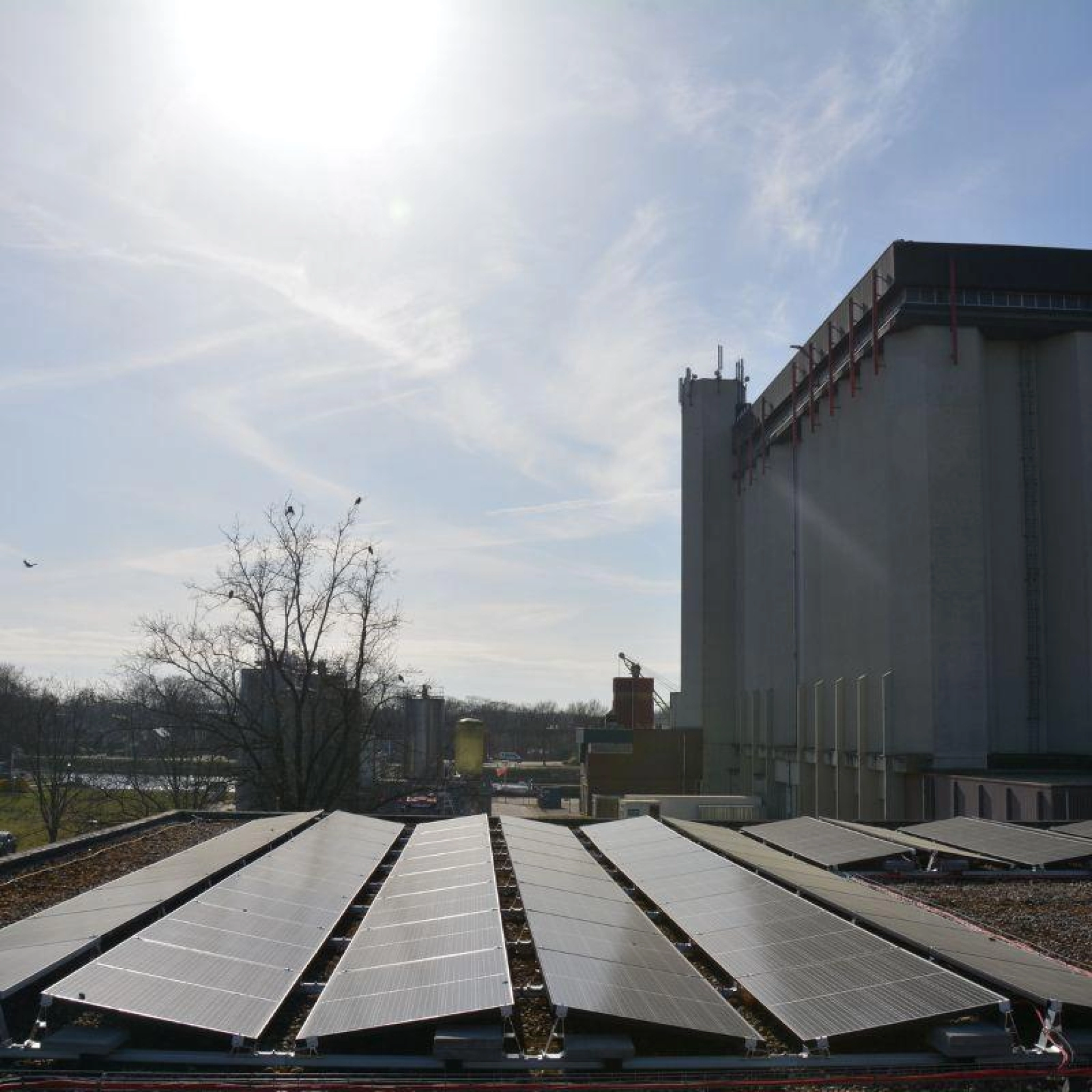 ForFarmers Group - Reduce CO2 footprint