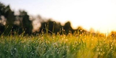 Biofabriek ForFarmers Lochem richting CO2-neutraal