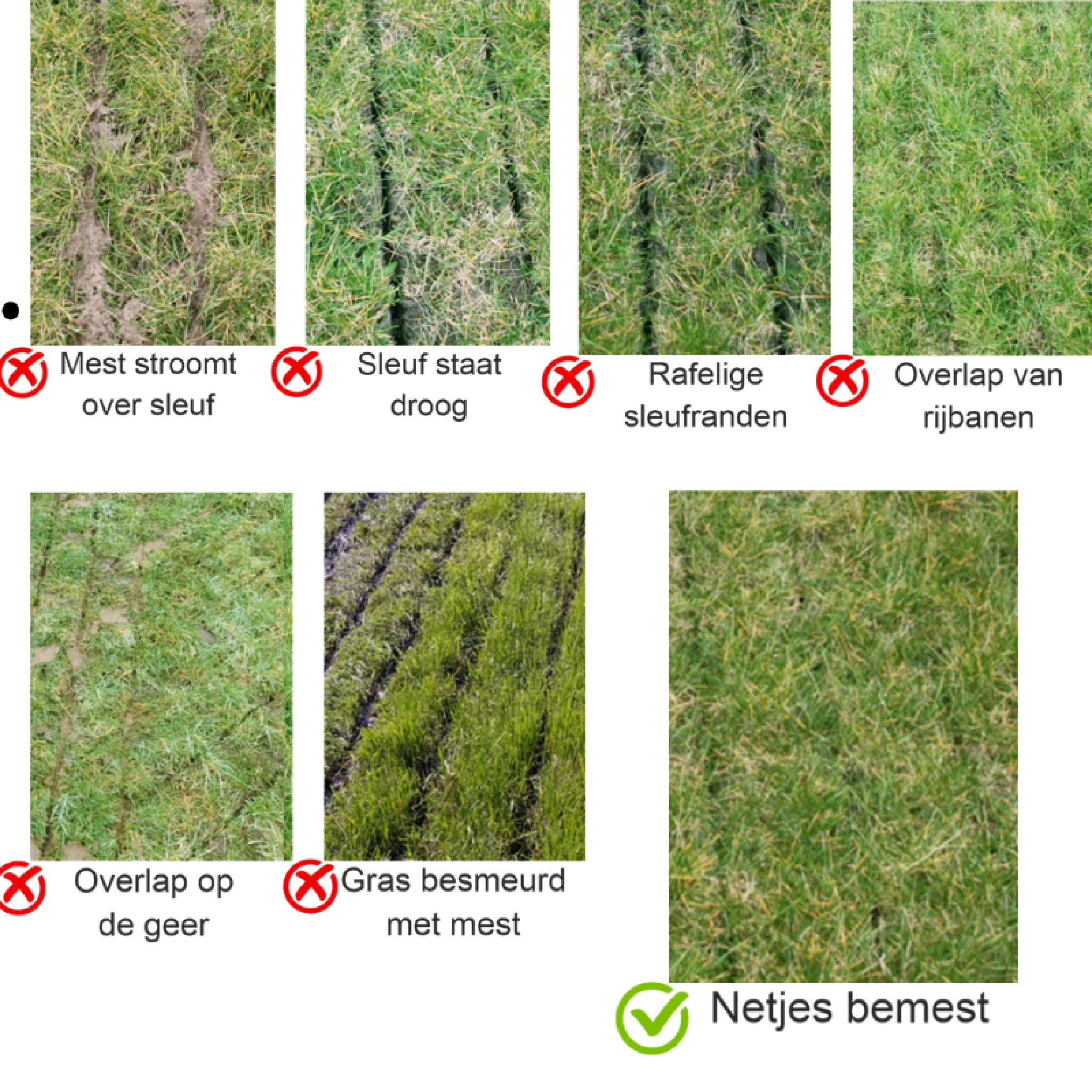6 Tips voor netjes bemesten - ForFarmers Nederland