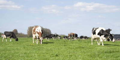 ForFarmers Group - ForFarmers Group | For the Future of Farming