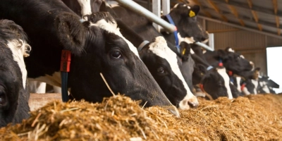 Nieuwe eco-activiteiten en wijzigingen in GLB… - ForFarmers Nederland