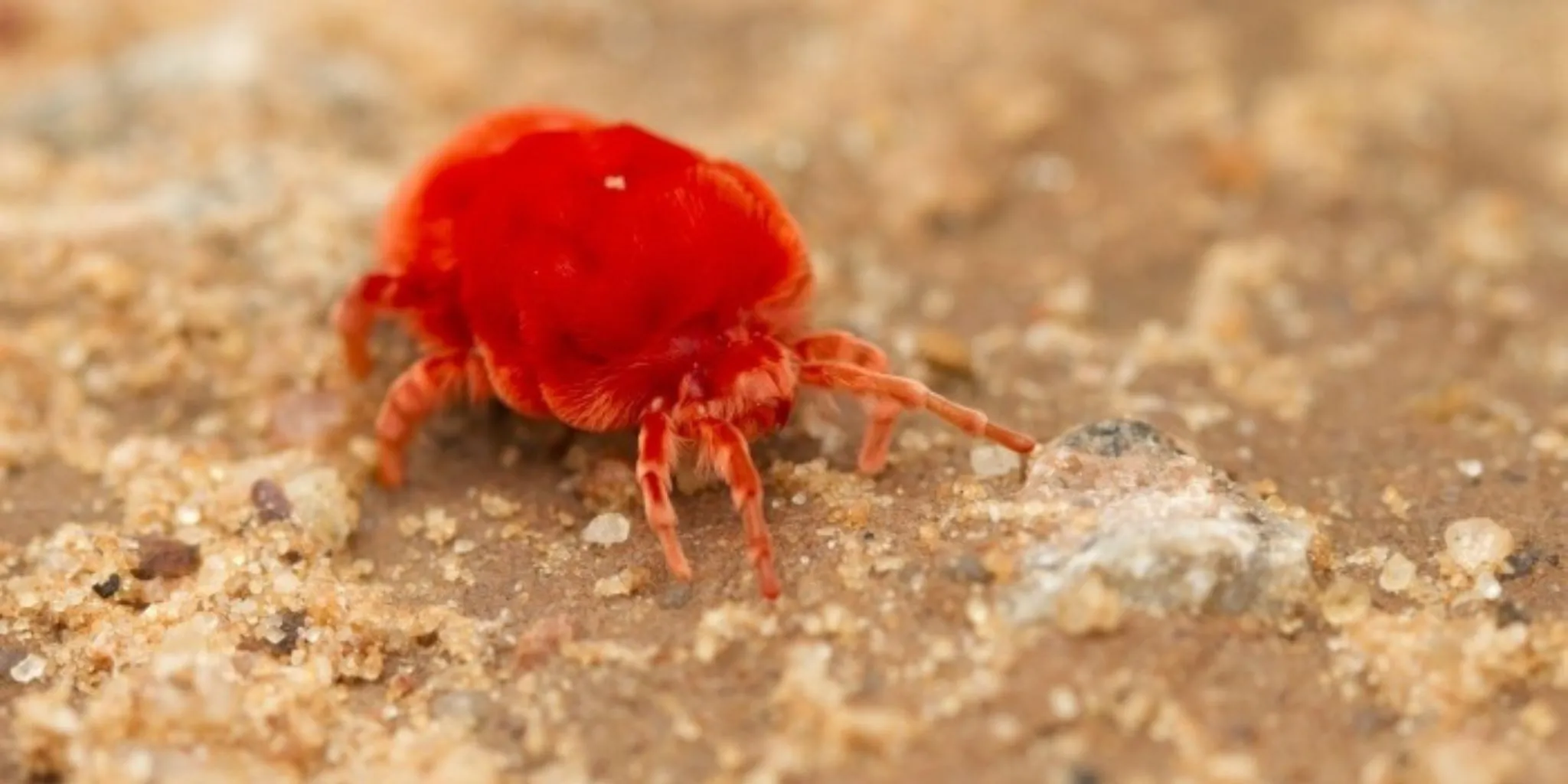 Klantenservice ForFarmers Dealers