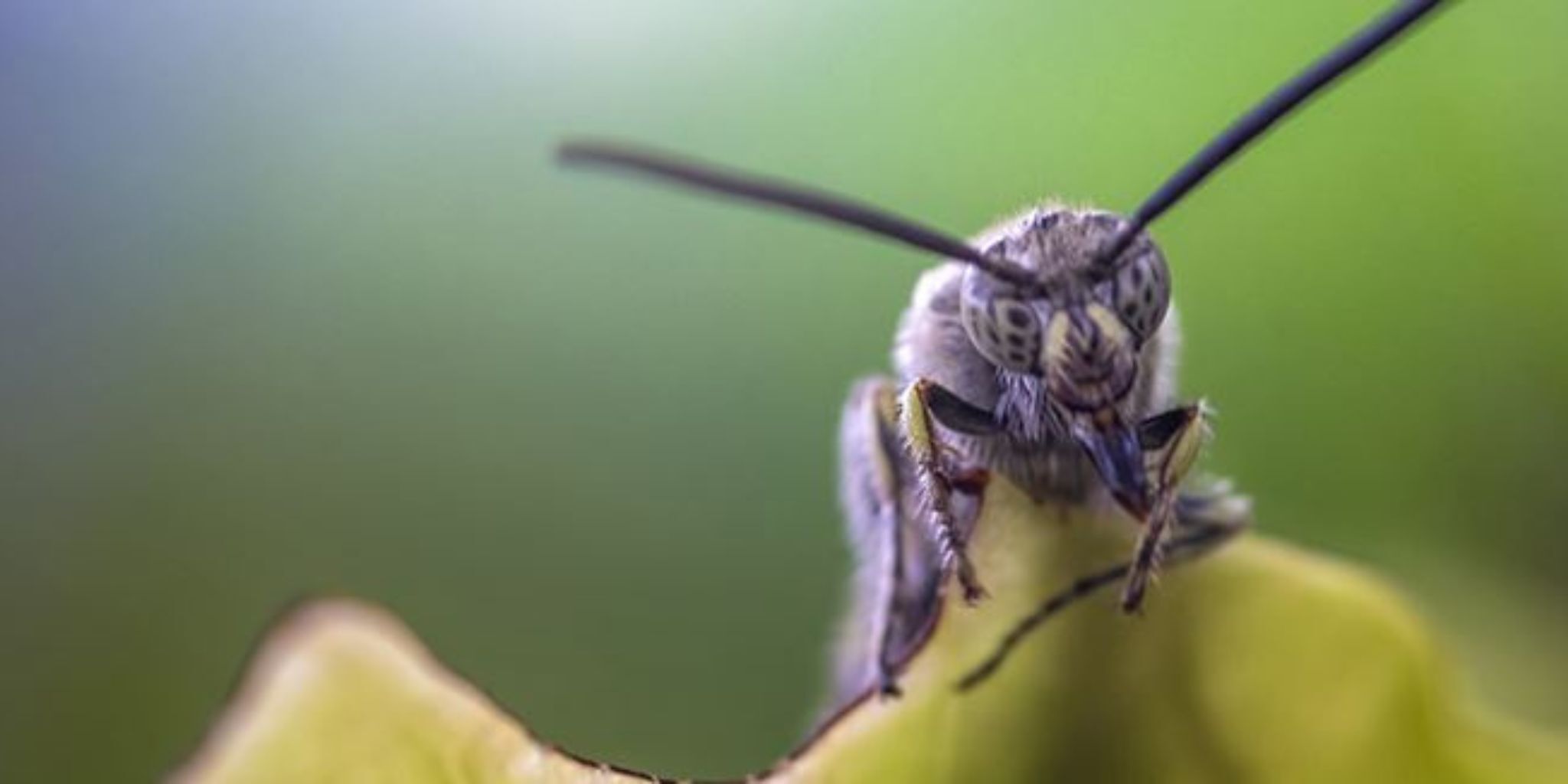 ForFarmers Group - Two out of five NIC projects concern sustainability