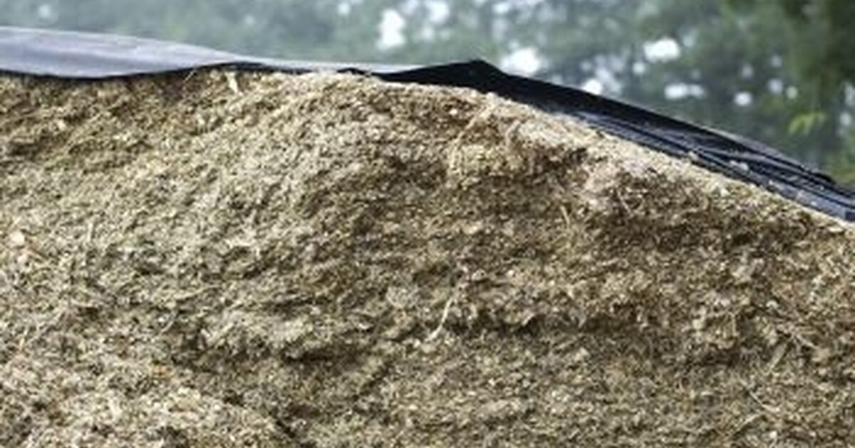 Laat tijdig kuil- en grondmonsters steken - ForFarmers Nederland