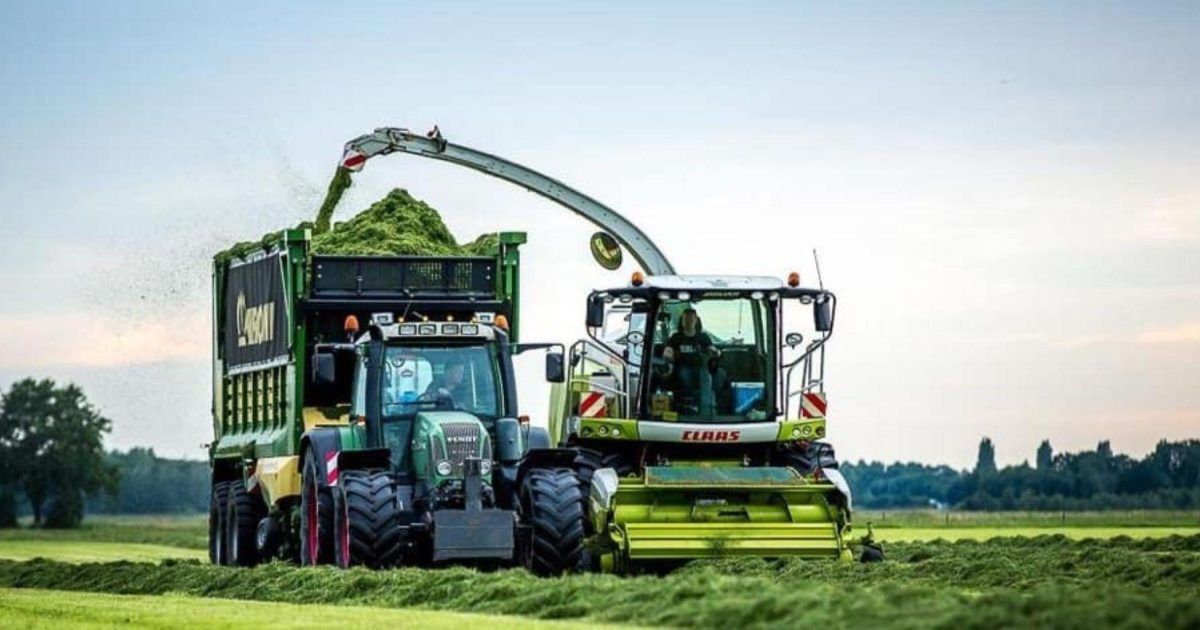 Tips voor maximaal rendement uit gras - ForFarmers Nederland