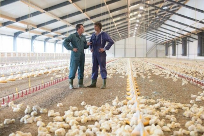 ForFarmers Group - Home