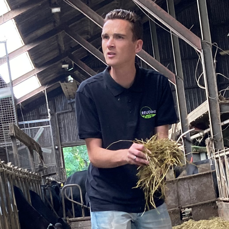 Bio-melkveehouders oogsten 834 kilo extra eiwit dankzij… - Reudink