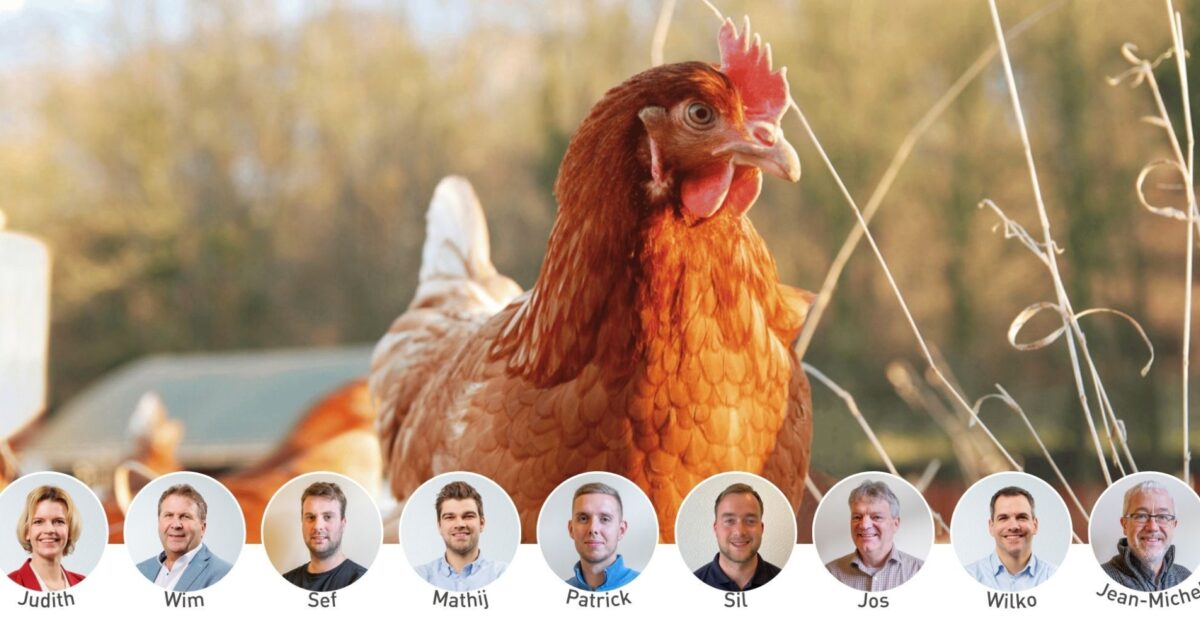 Reudink - Ons Formule 1 pluimveeteam staat voor je klaar