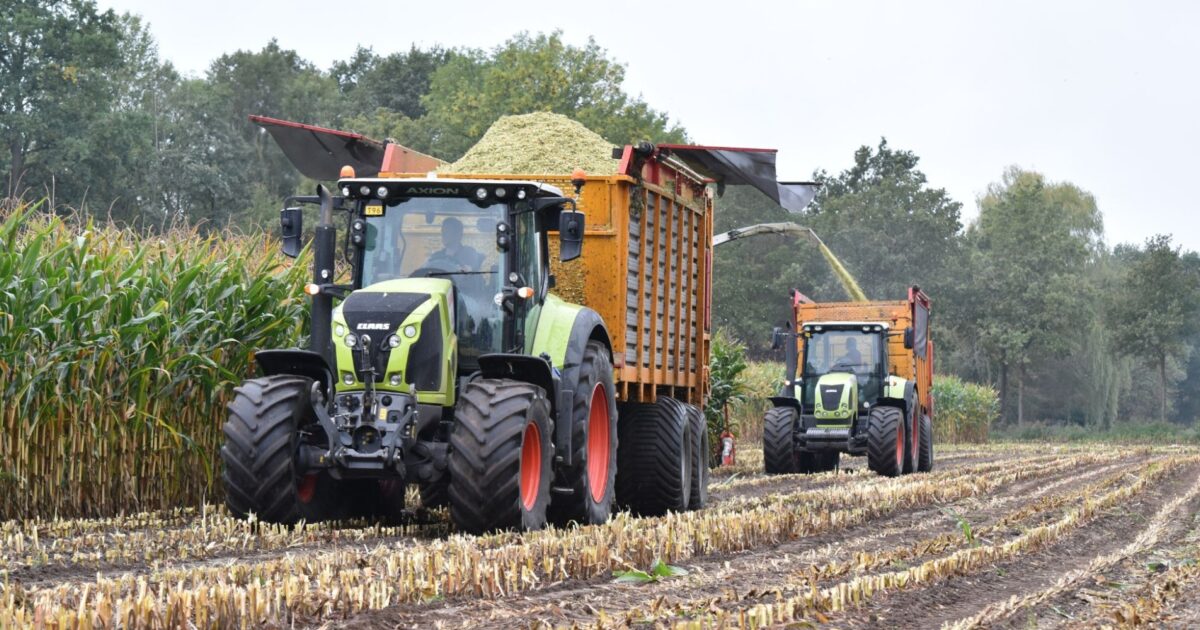Reudink - Oogstadvies maïsrassen Reudink
