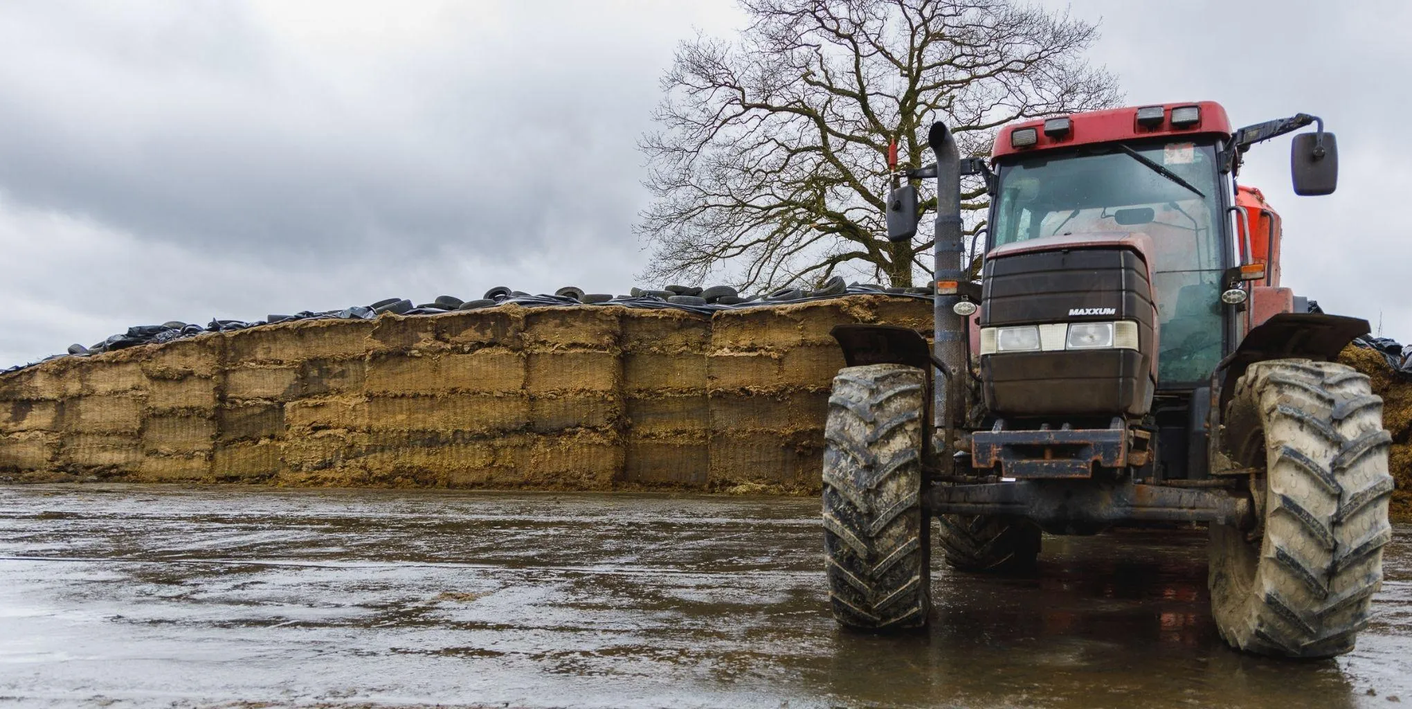 ForFarmers UK - Silage samples show mixed results