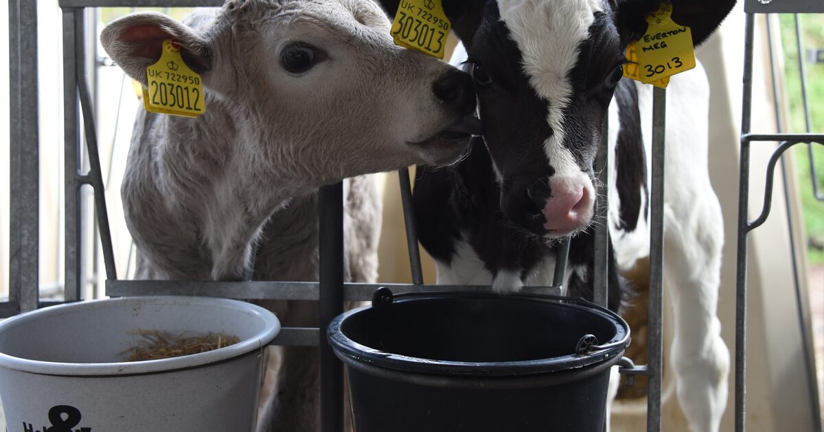 ForFarmers UK - Feeding your future