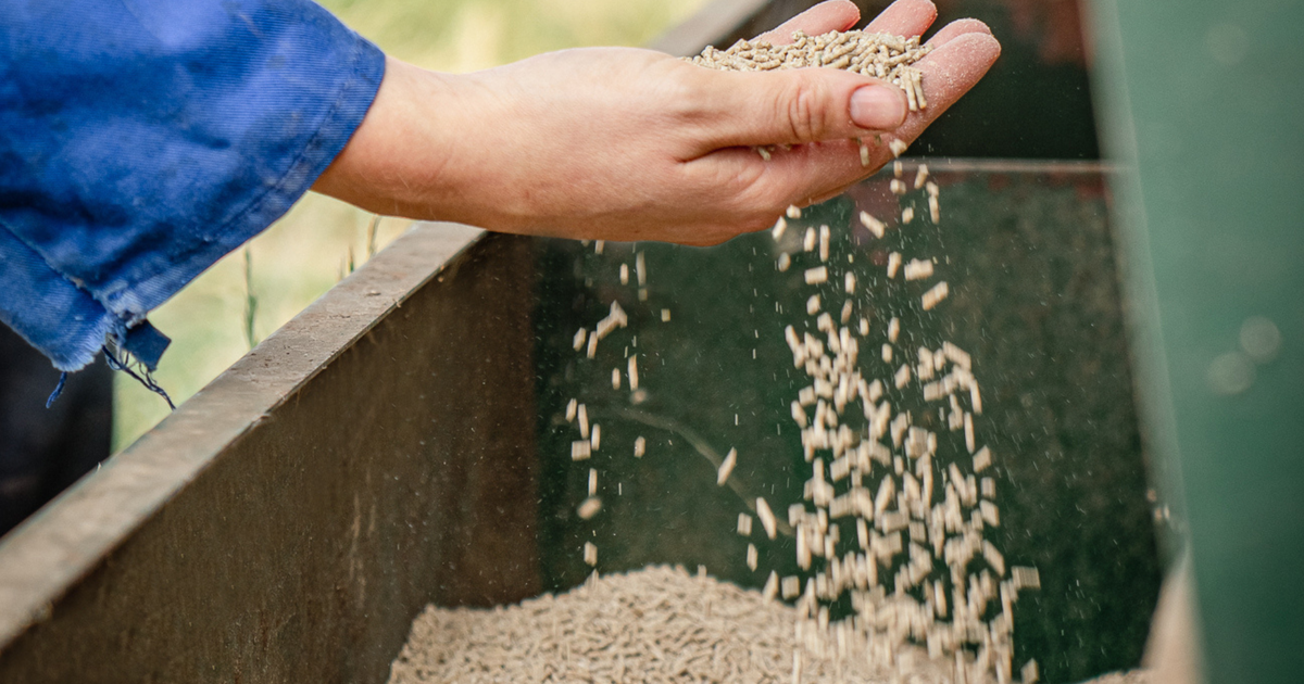 ForFarmers UK - Smallholder solutions: Tips for keeping rodents at bay