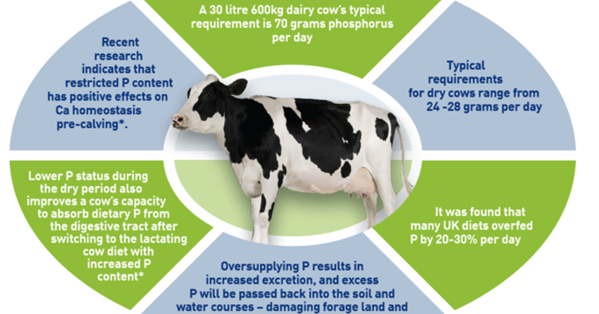 ForFarmers UK - Reducing environmental impact through phosphorus…