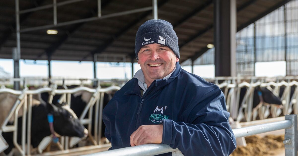 ForFarmers UK - Embracing an automated approach to dairying