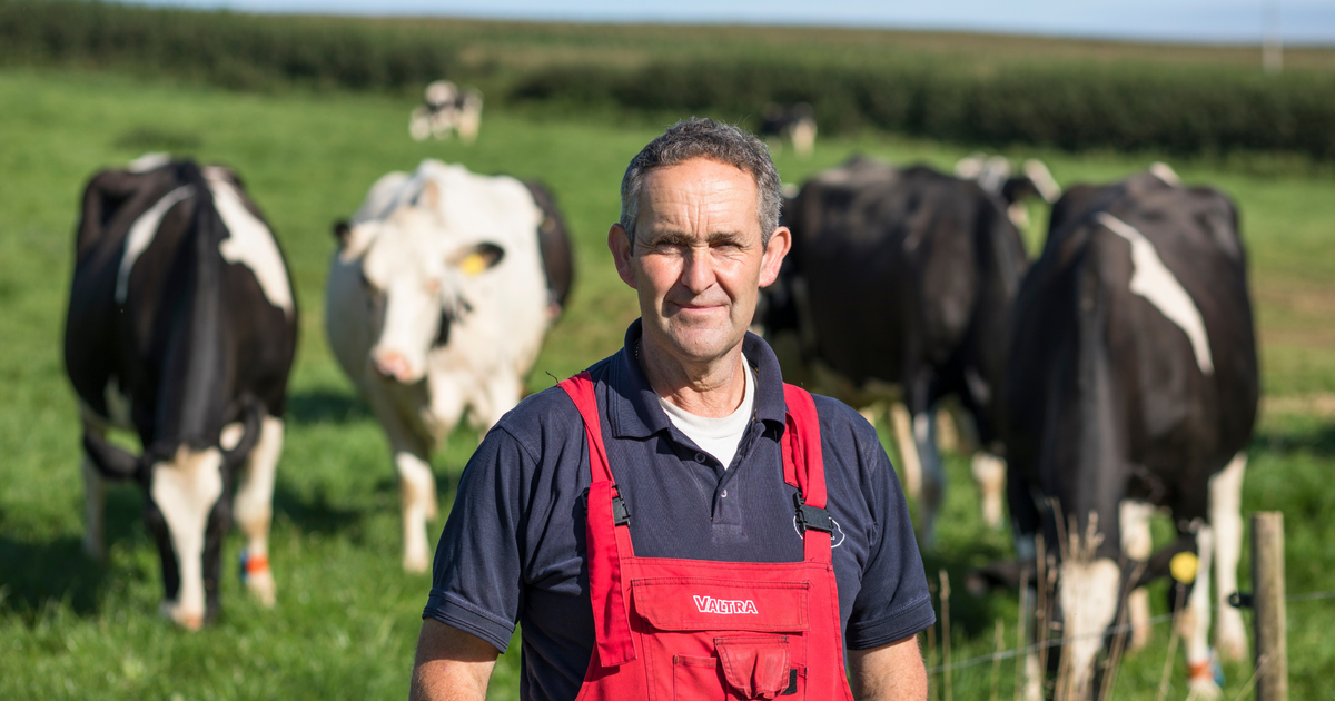 ForFarmers UK - Saying goodbye to soya