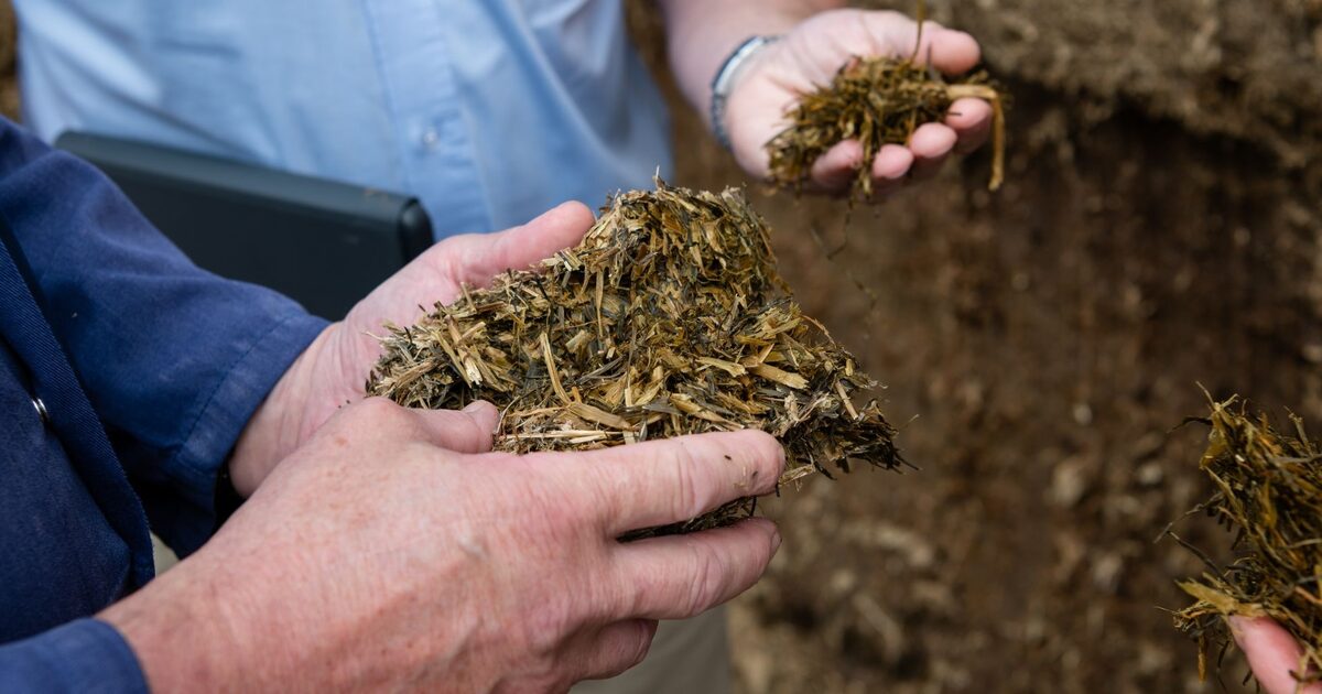ForFarmers UK - Later first cut silages showing the effect of poor…