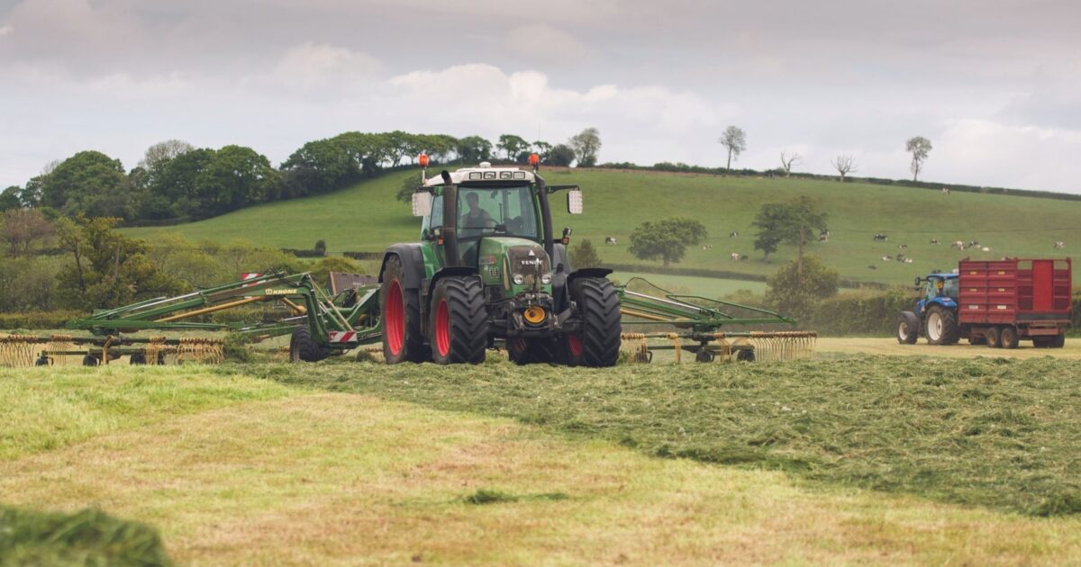 ForFarmers UK - Investing in Silage Quality: Ensuring Optimal Feeding…