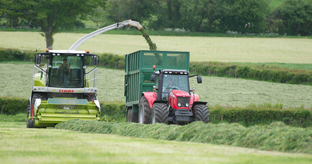 ForFarmers UK - Top tips for organic silage making success