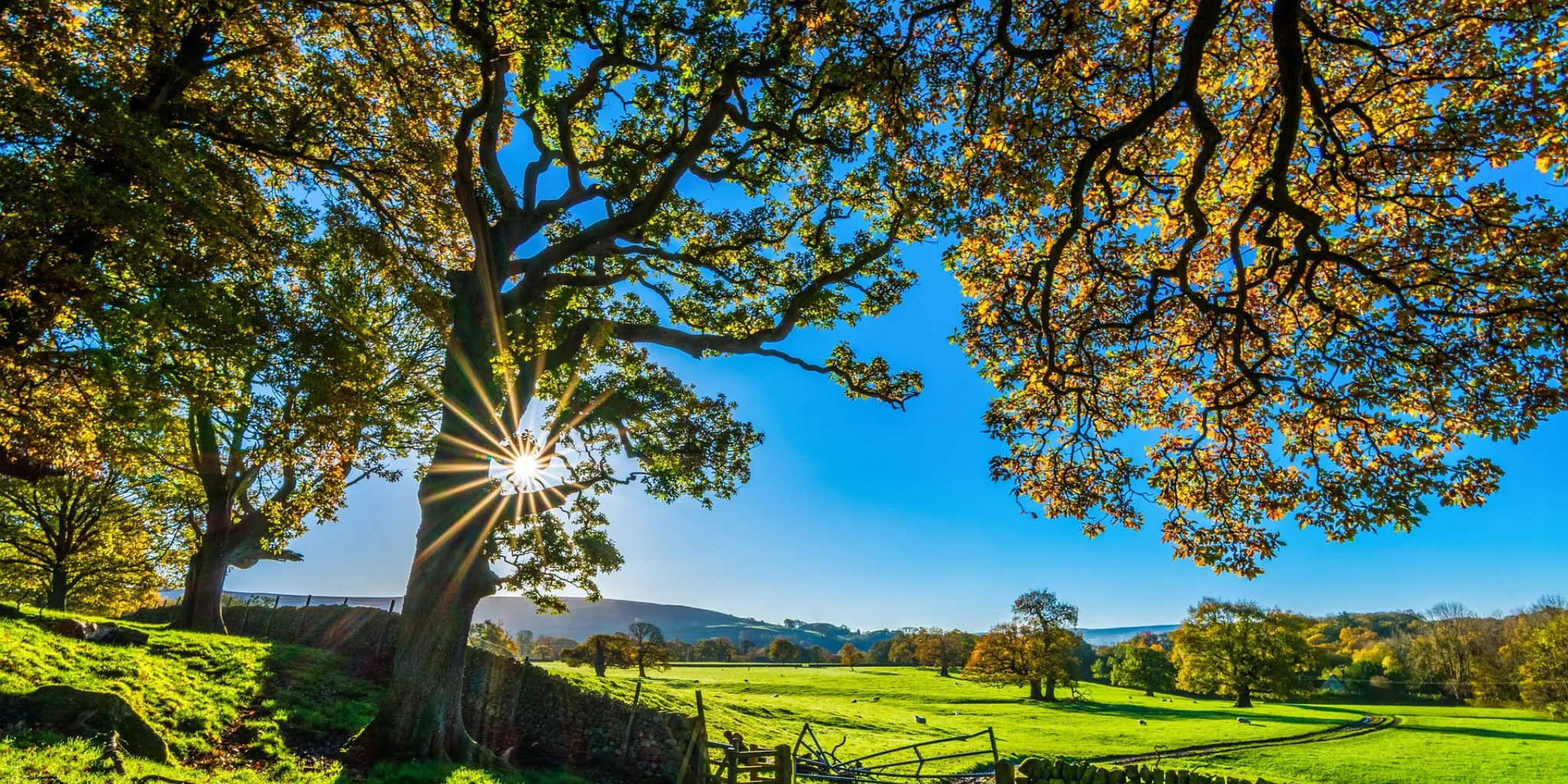 ForFarmers UK - What to consider before starting a smallholding: Part…