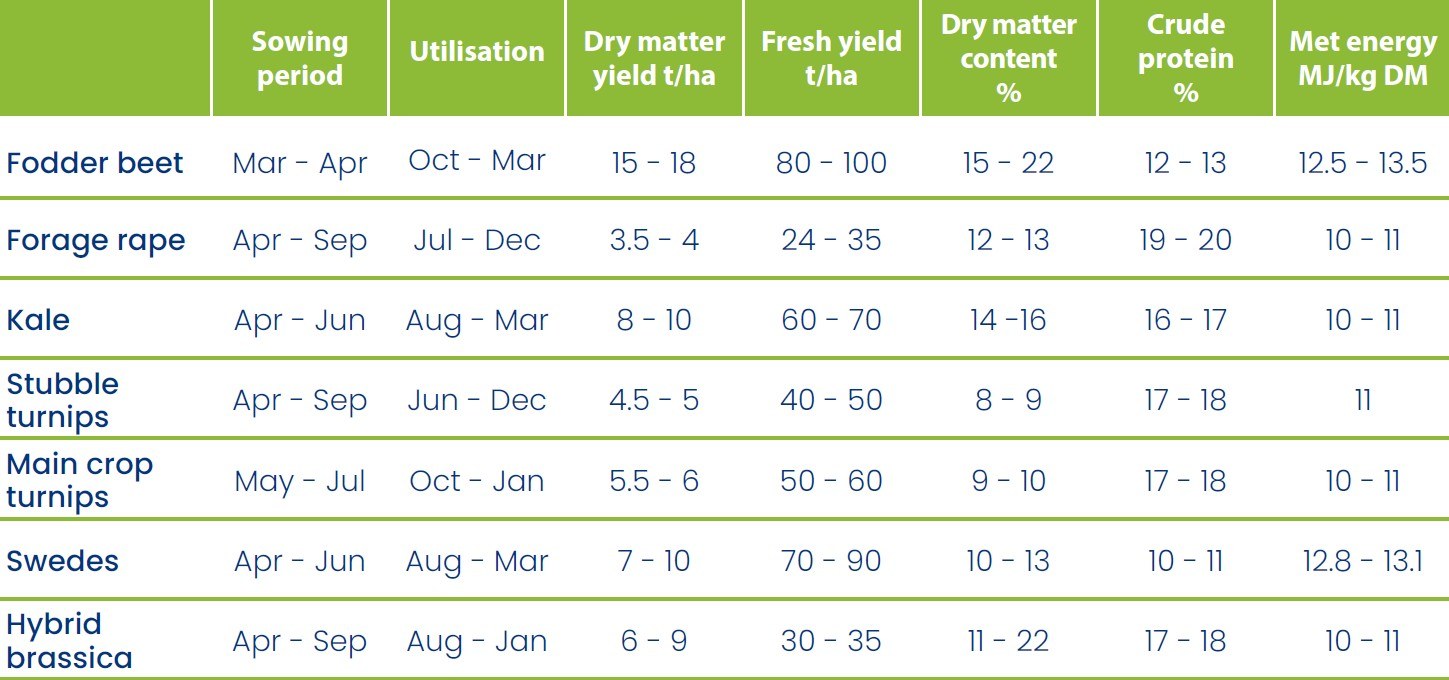 Fodder crops and other seeds - ForFarmers UK