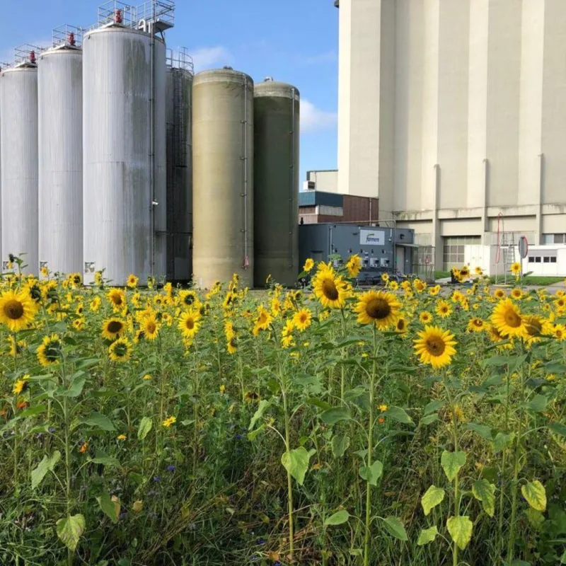 ForFarmers Group - Protection of biodiversity