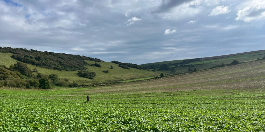 ForFarmers UK - Getting game cover crops right for the season ahead