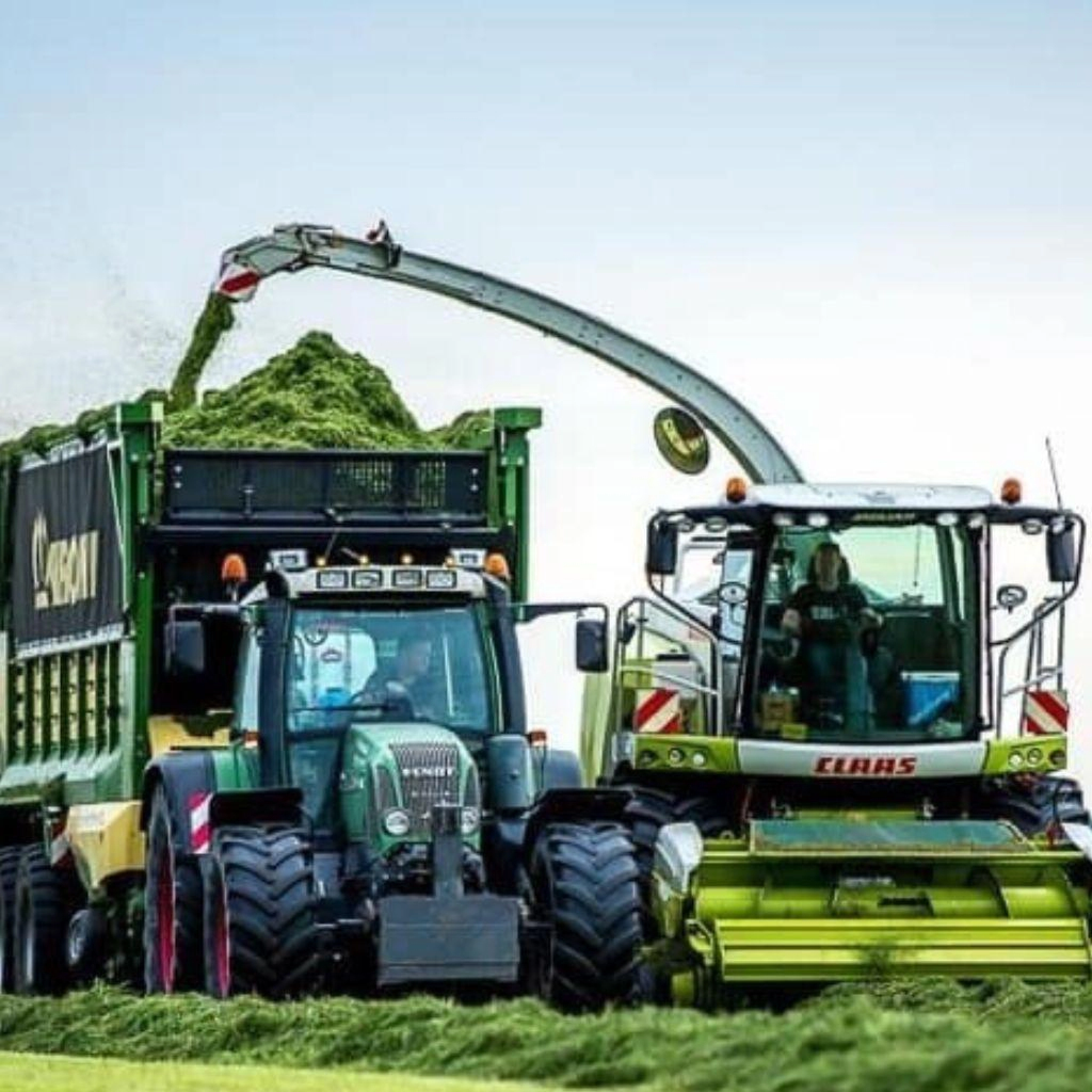 Tips voor maximaal rendement uit gras - ForFarmers Nederland