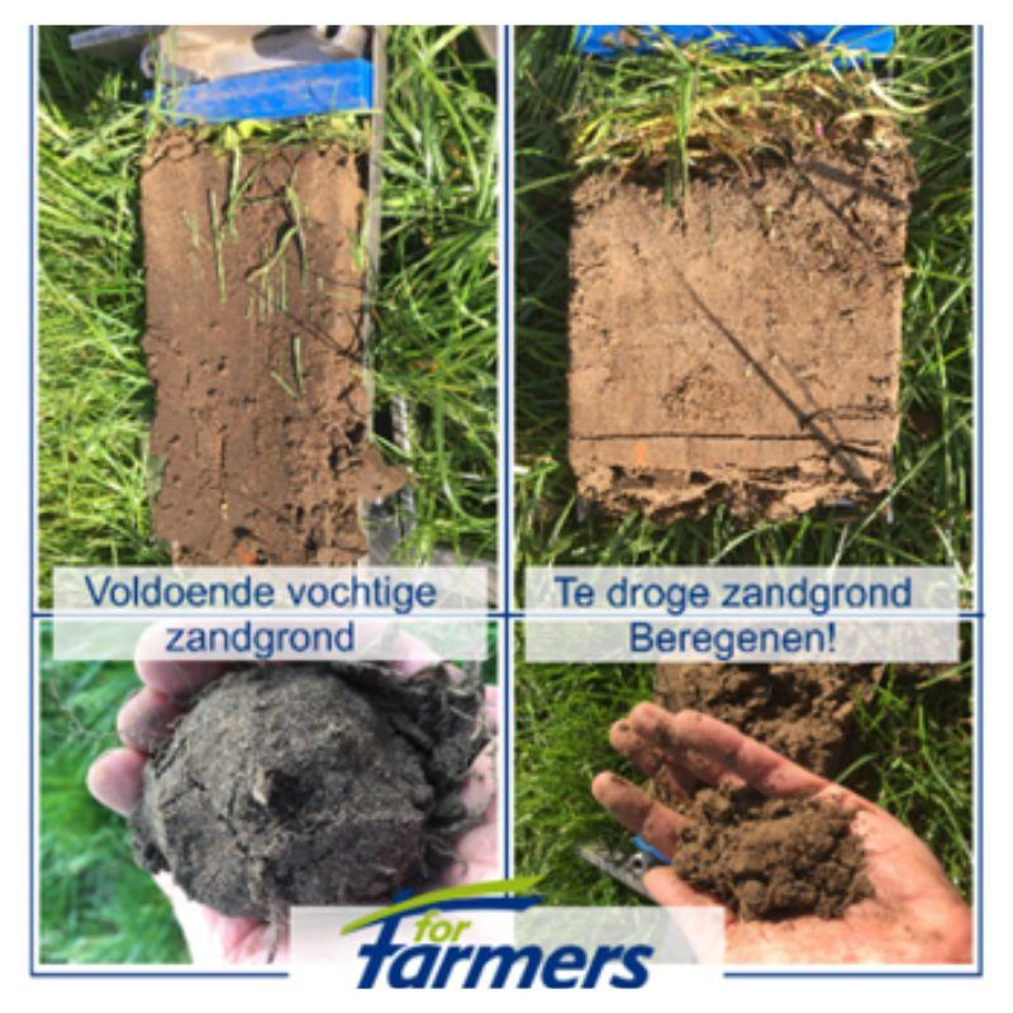 Grasland beregenen: wanneer en hoeveel?